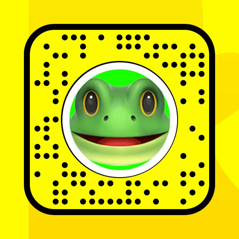 Frog Filter by 𝑫𝒊𝒆𝒈𝒐 🚀🇫🇷 | Snapchat Lenses
