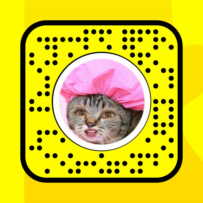 Talking Cat Lens by Vamos Nash Barrett - Snapchat Lenses and Filters
