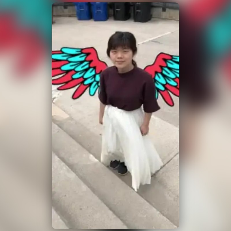 Bright Wings Filter by Paige Sun | Snapchat Lenses