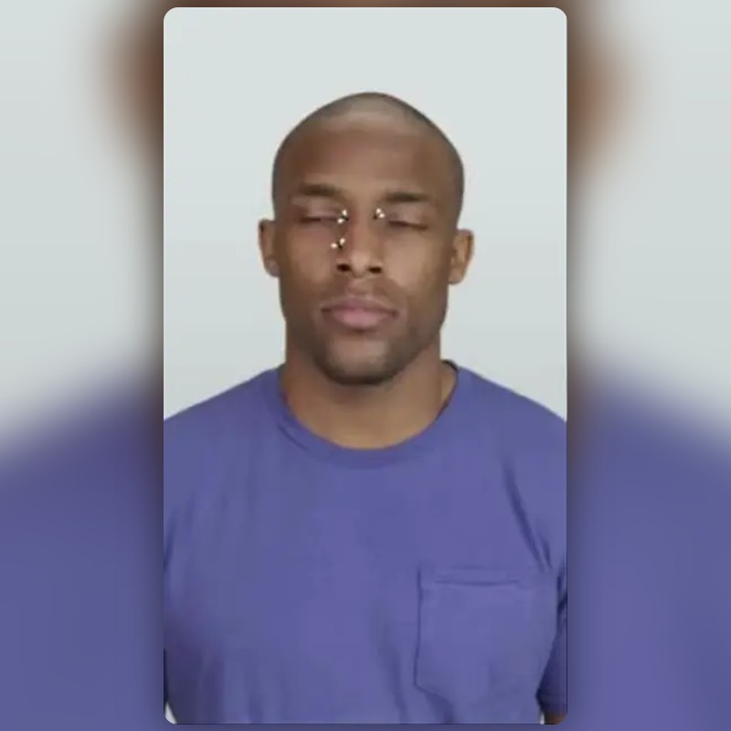 Fly on Nose Filter by Ananda Permata | Snapchat Lenses