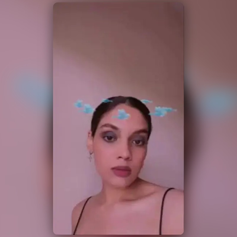 macbook birds Lens by Ritika - Snapchat Lenses and Filters