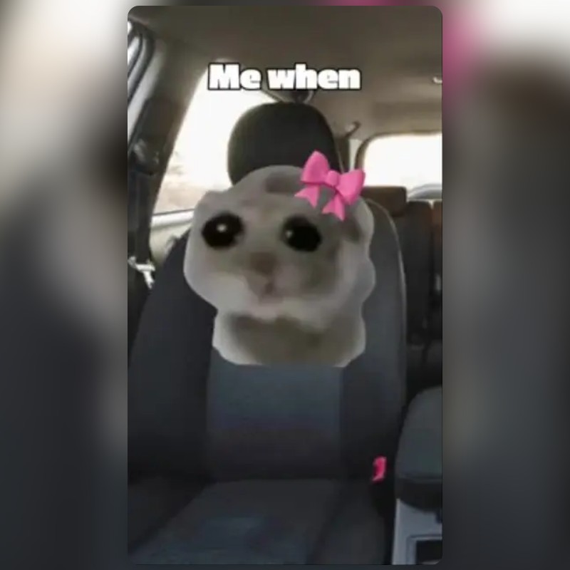 SAD HAMSTER Filter by Ole Marius | Snapchat Lenses