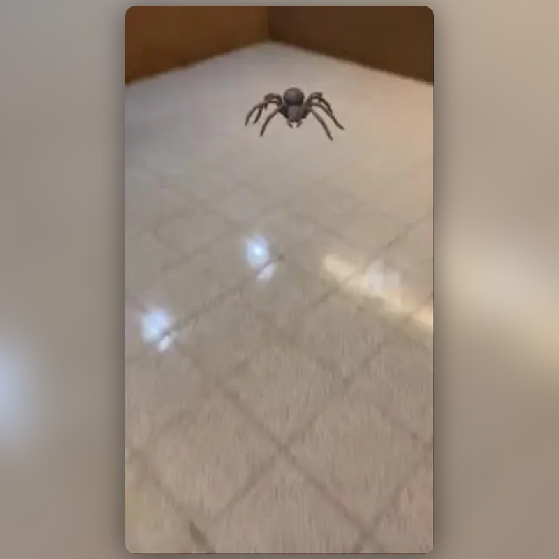 Swipe Under Spider Lens by فارس العسيري | Faris - Snapchat Lenses and ...