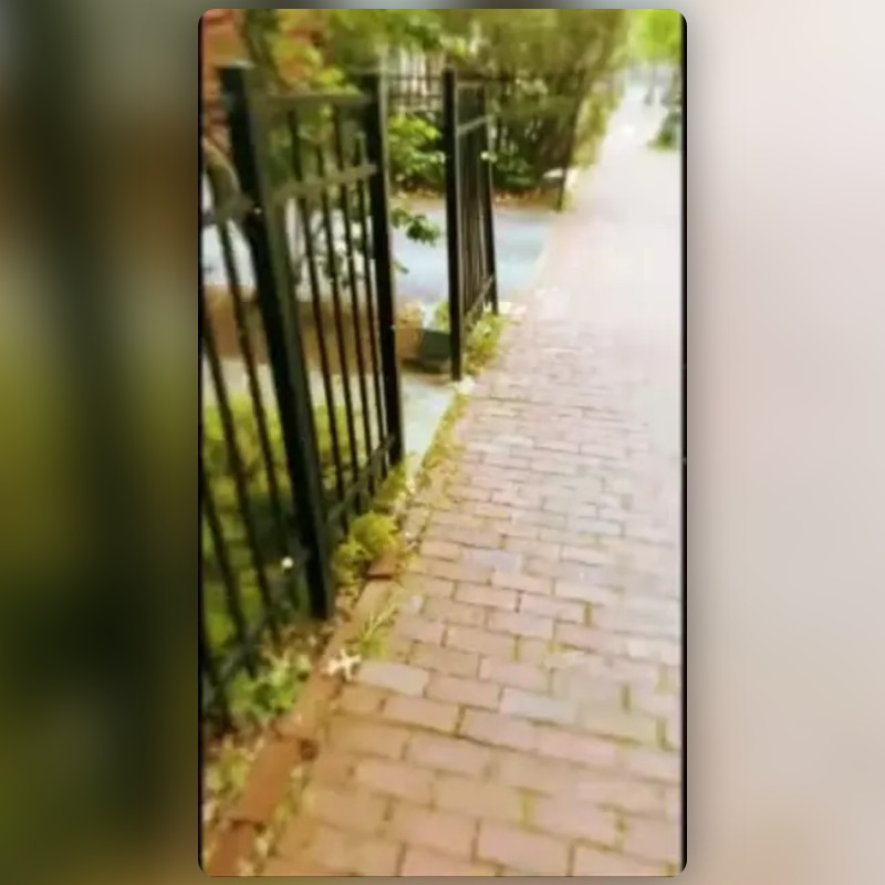 Foraging Filter by Meredith Binnette | Snapchat Lenses