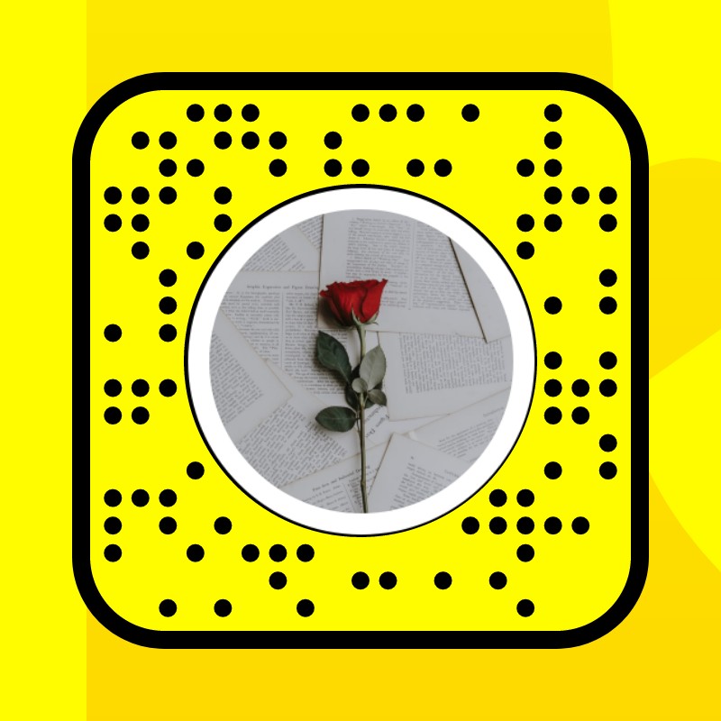 ROSE STREAK Lens by Aditya Banga😎 - Snapchat Lenses and Filters