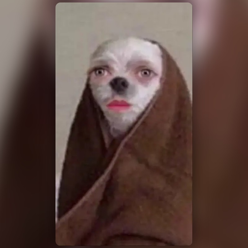 blanket dog meme Lens by jessye - Snapchat Lenses and Filters