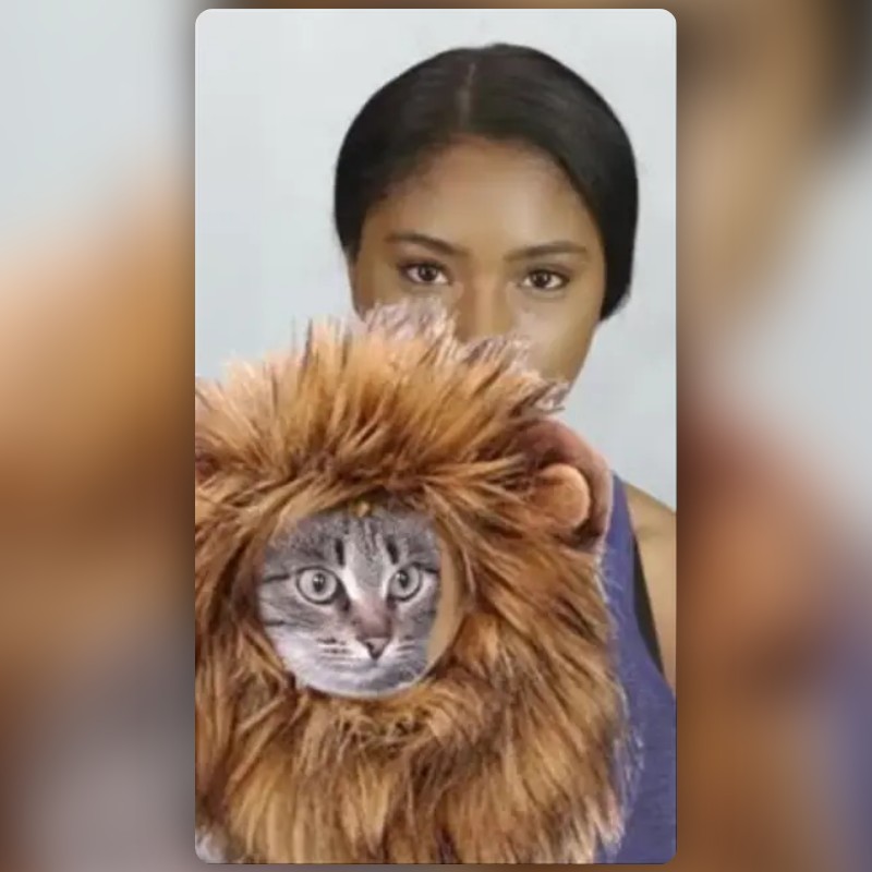 Pet Lion Filter by Charles Hamblen | Snapchat Lenses