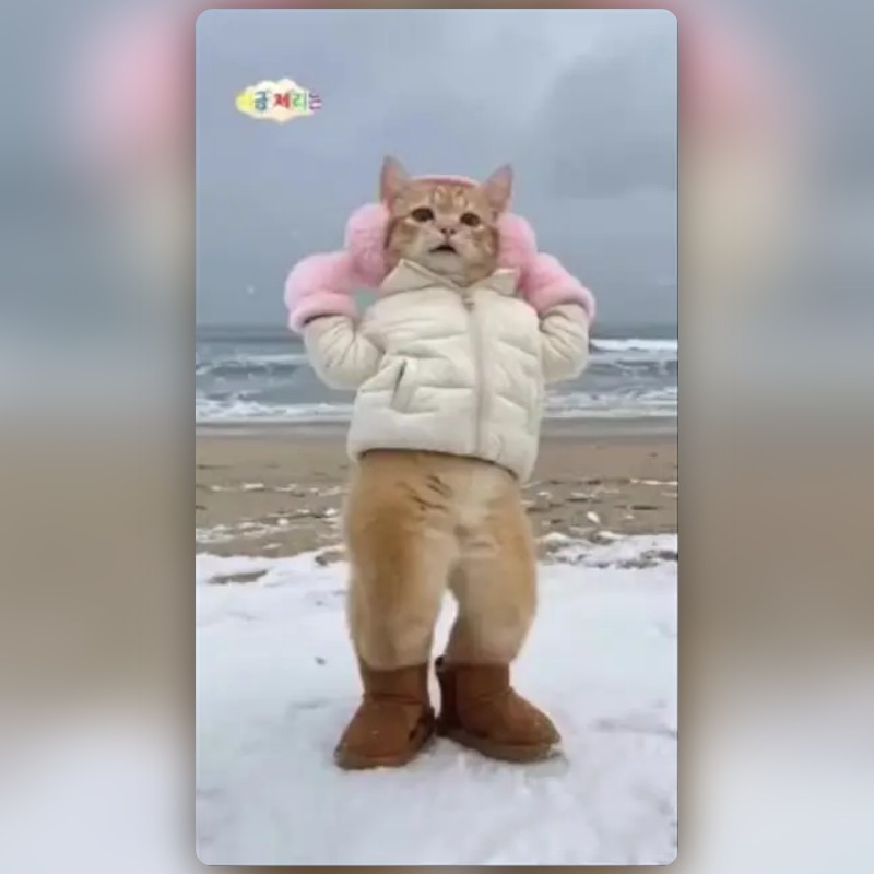 Ai Cat Dance Filter by Mehdie__ | Snapchat Lenses