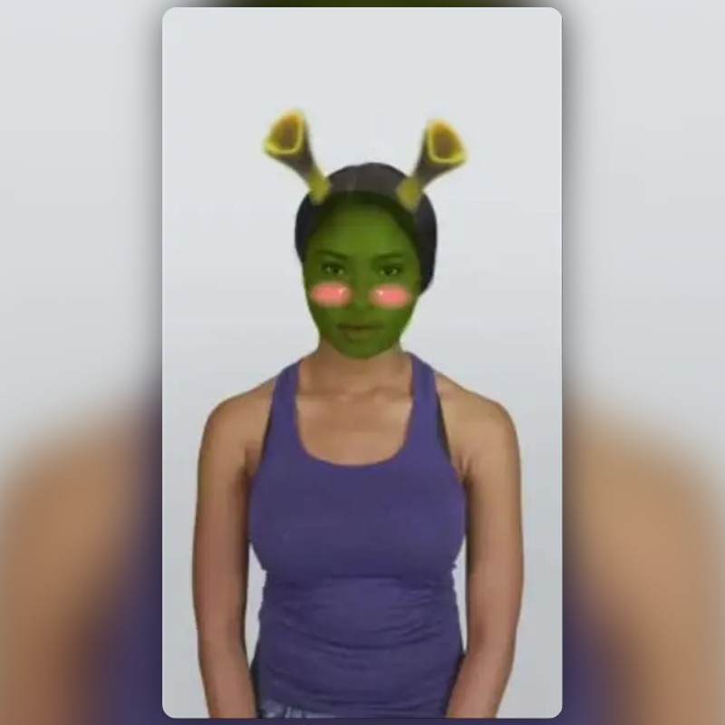 Blushing Shrek Lens by Ash 🐸 - Snapchat Lenses and Filters