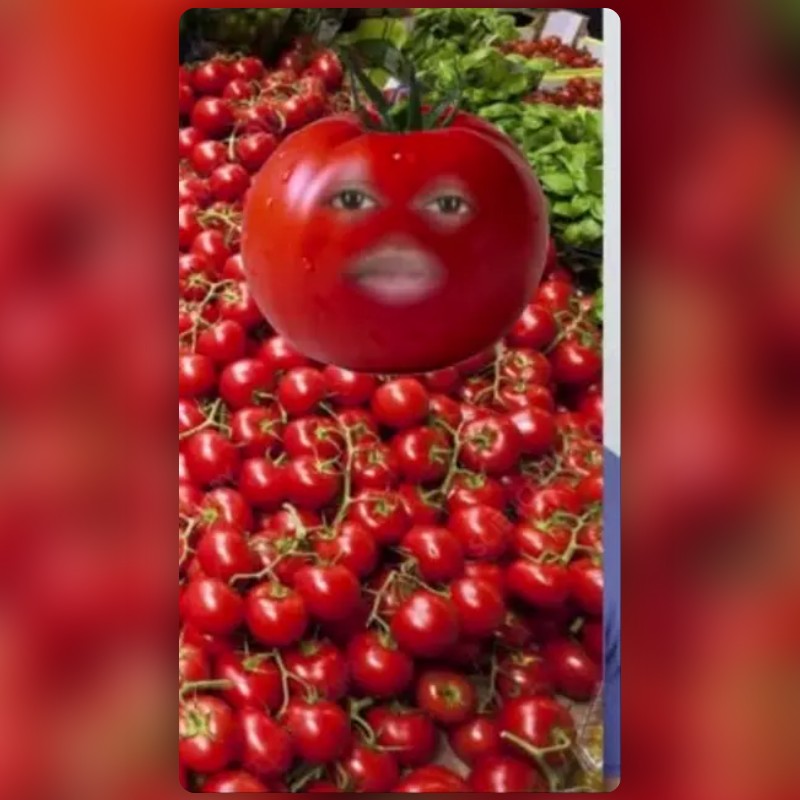 tomato face Filter by merwin | Snapchat Lenses