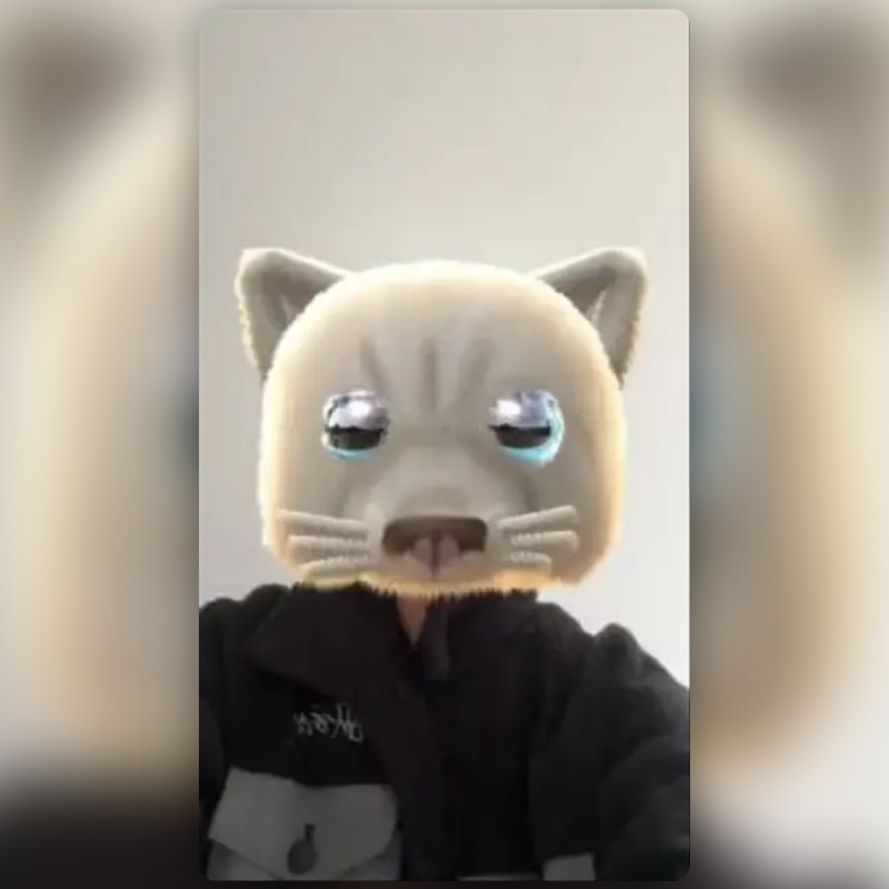 Met Gala Cat Lens by Eren - Snapchat Lenses and Filters