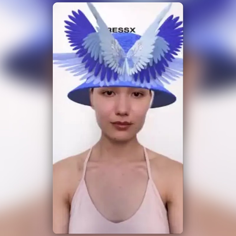 Wings Hat Bird Lens by DRESSX - Snapchat Lenses and Filters