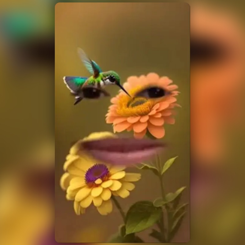 Bird Filter by Honey_bee🐝 | Snapchat Lenses