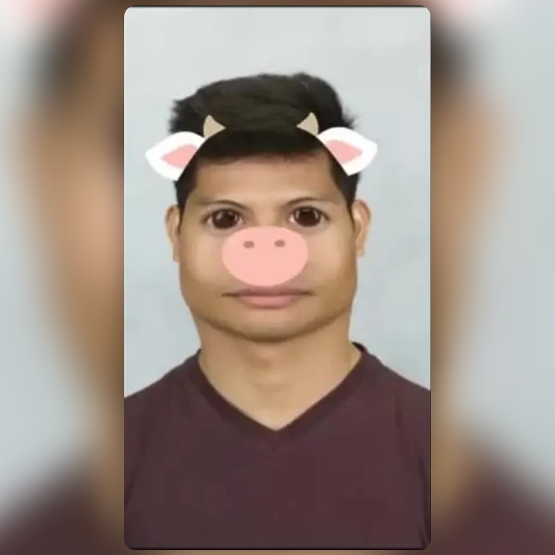 Cow Filter by Selien | Snapchat Lenses