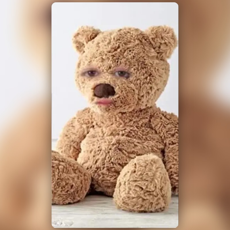 teddy bear Lens by Rista Nurfajrianti - Snapchat Lenses and Filters