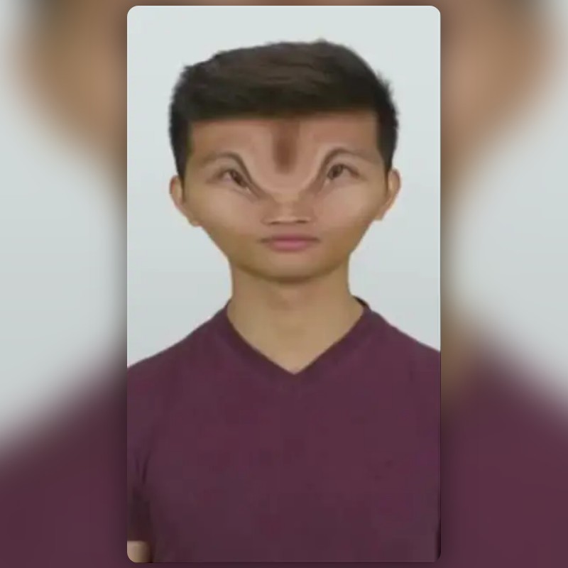 Flatten Face Lens by victor coco - Snapchat Lenses and Filters