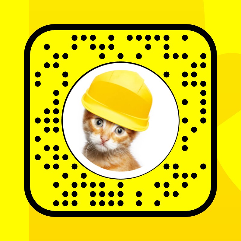 Construction Cats Lens by Acorn Vet - Snapchat Lenses and Filters