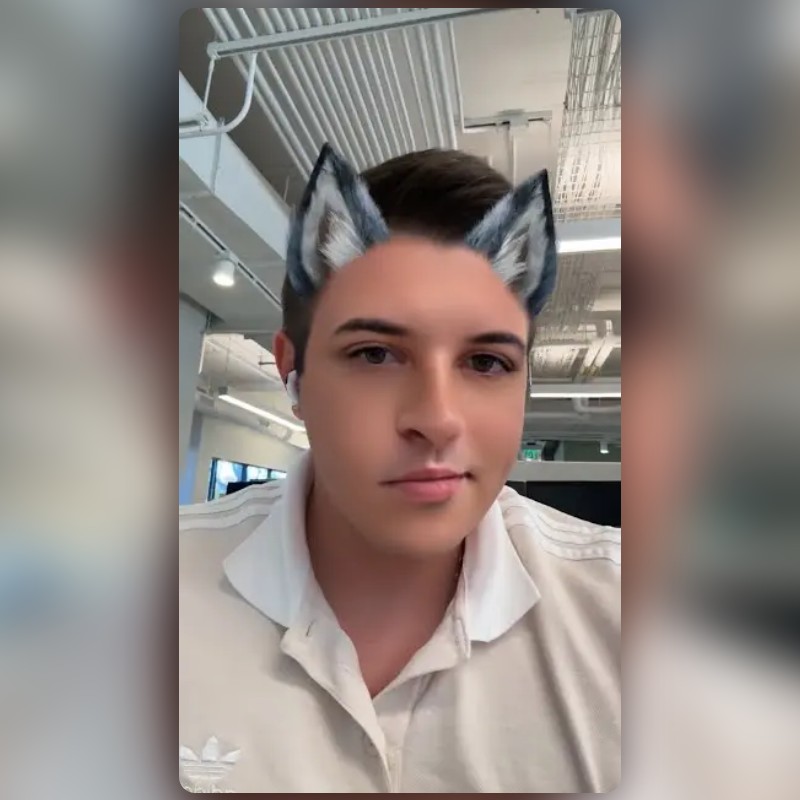 Cute Wolf Filter by Snapchat | Snapchat Lenses