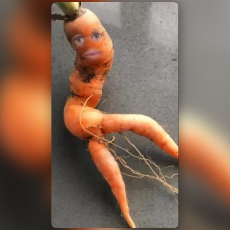 HOT CARROT Filter by Eli | Snapchat Lenses
