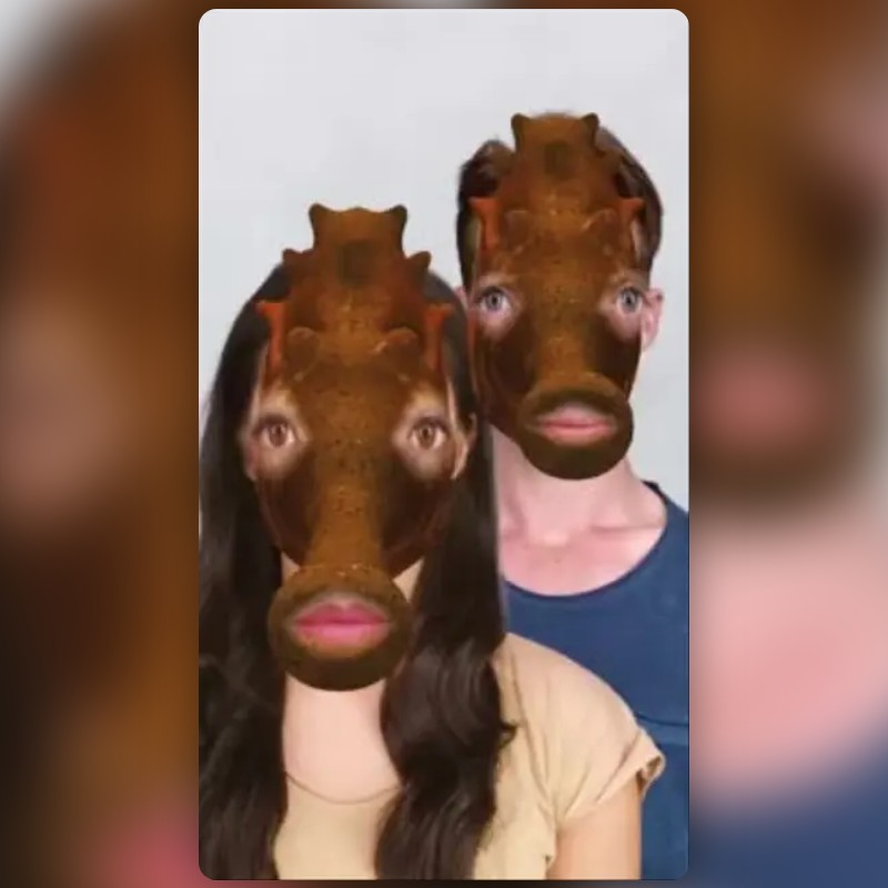 Seahorse Lens by Nick DiVito 👁_👁 - Snapchat Lenses and Filters