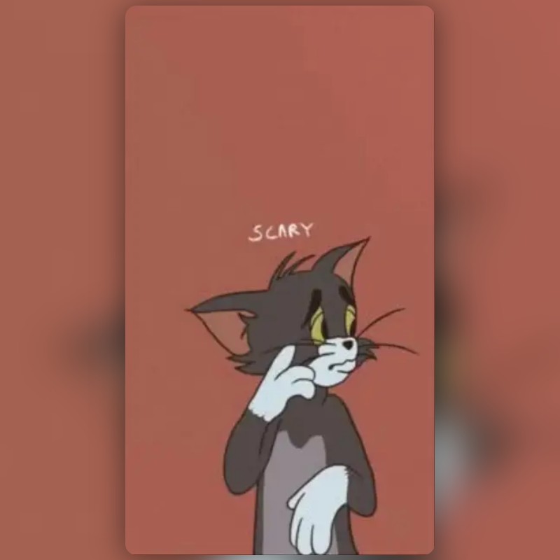 Tom Wallpapers Filter by Syed Fida Ali | Snapchat Lenses