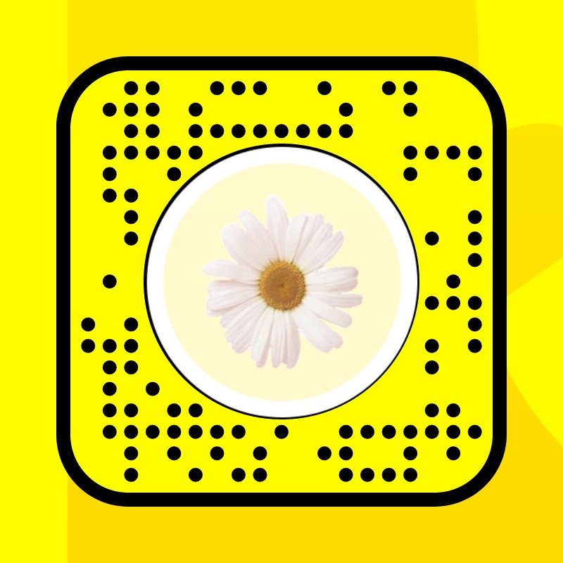flower xx Lens by julius vildgaard 🫶 - Snapchat Lenses and Filters