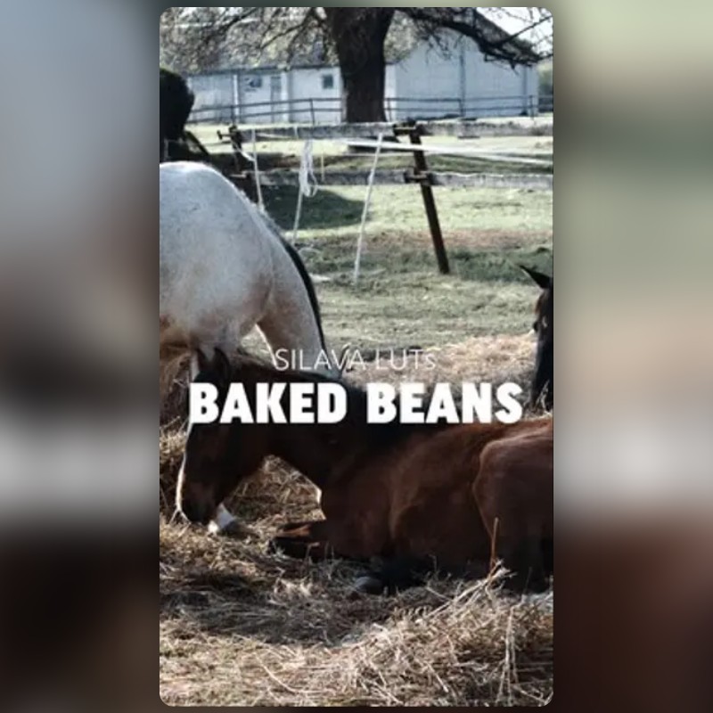 Baked Beans Filter by Eliass Valters | Snapchat Lenses