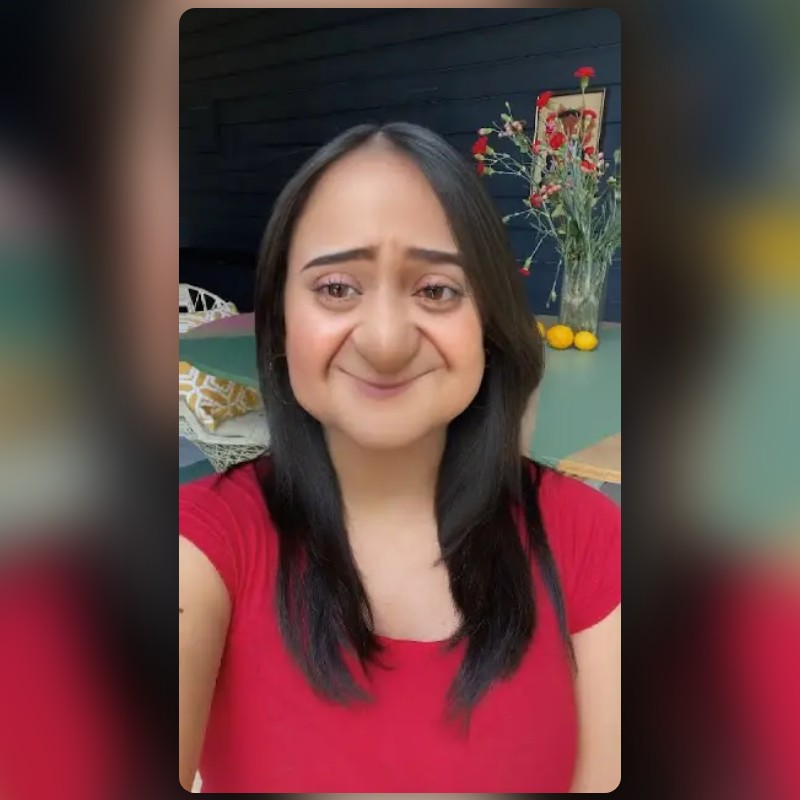 Granny Filter by Snapchat | Snapchat Lenses