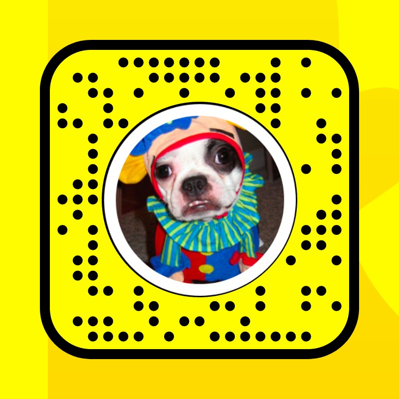weiner clown Lens by deana robyn - Snapchat Lenses and Filters