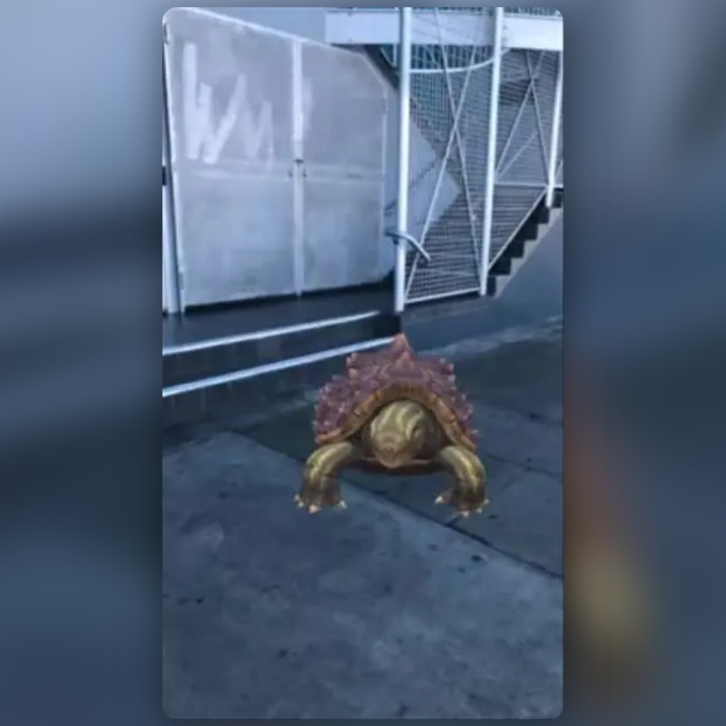 Turtle Lens by BYE BYE FOREVER 💔 - Snapchat Lenses and Filters