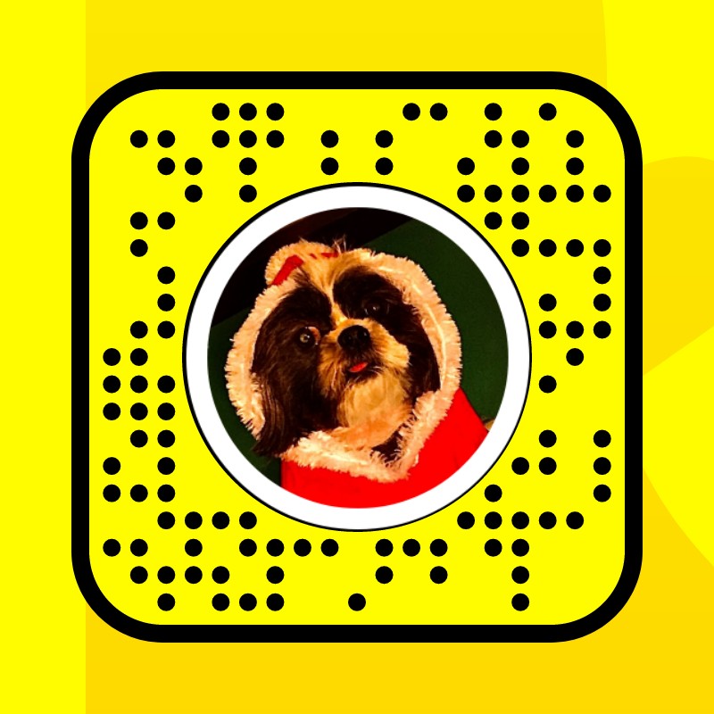 Puppy Love Lens by Adam Nore - Snapchat Lenses and Filters