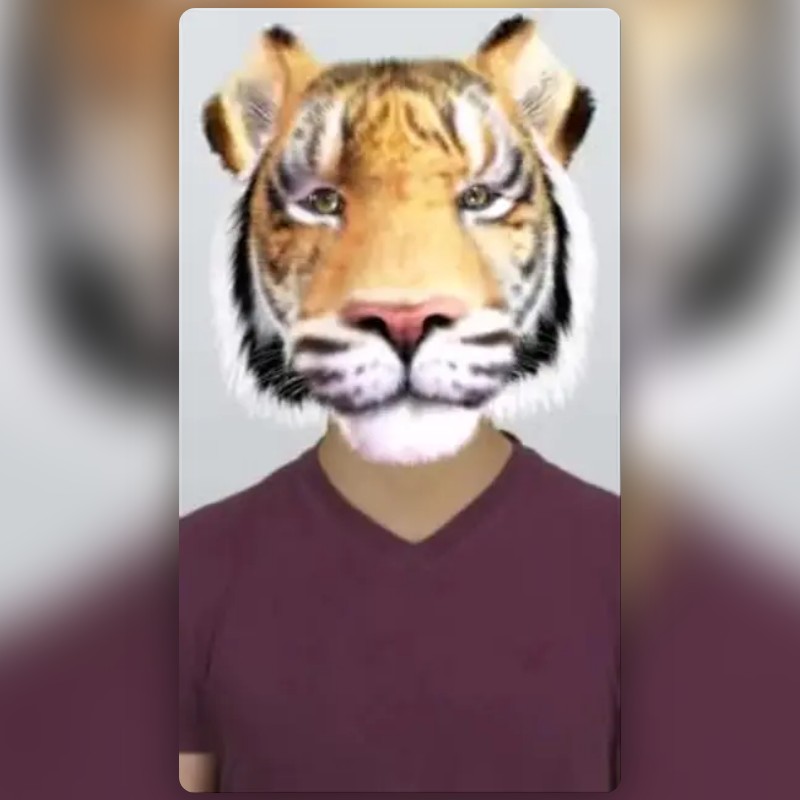 Tiger Lens by Helena Bahdzel - Snapchat Lenses and Filters