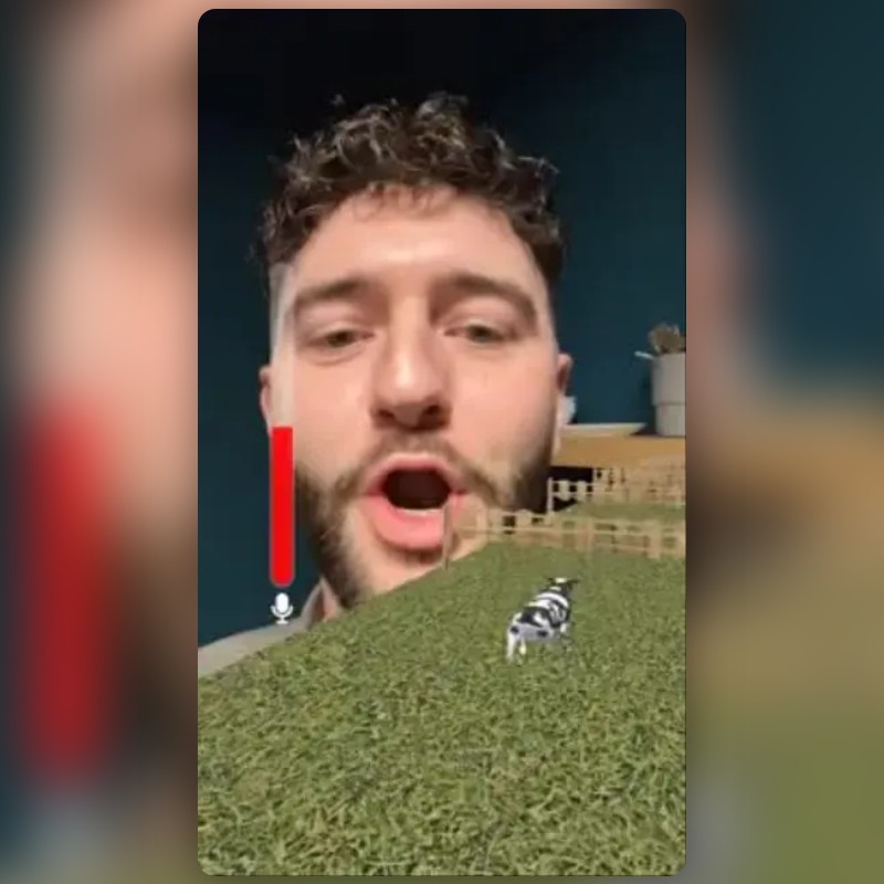 Cow Voice Game Filter by Danny Marree | Snapchat Lenses