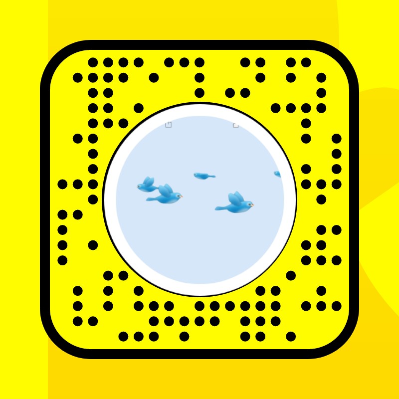 Dizzy Birds Filter by Alli Goldstein | Snapchat Lenses