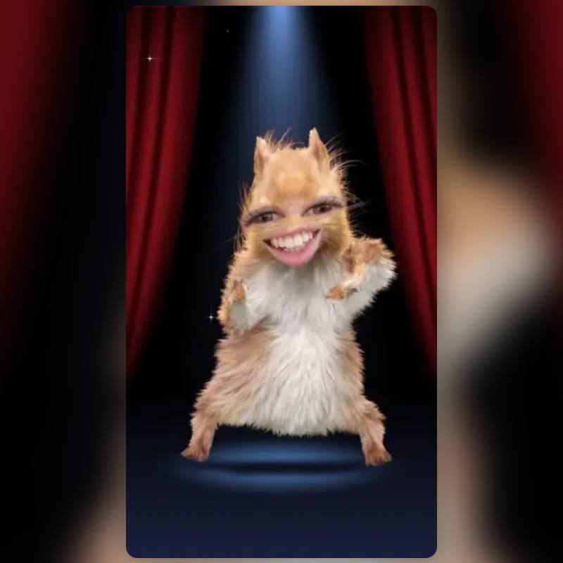 Dancing Squirrel Lens by Snapchat - Snapchat Lenses and Filters