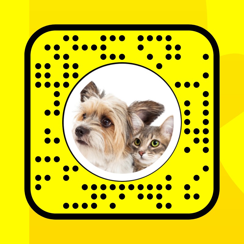 CAT AND DOG Lens by Thomas D’amore - Snapchat Lenses and Filters