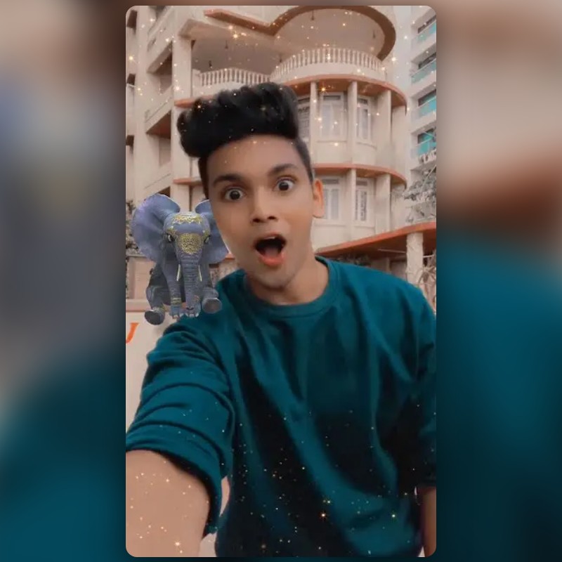 Elephant in Love Filter by Snapchat | Snapchat Lenses