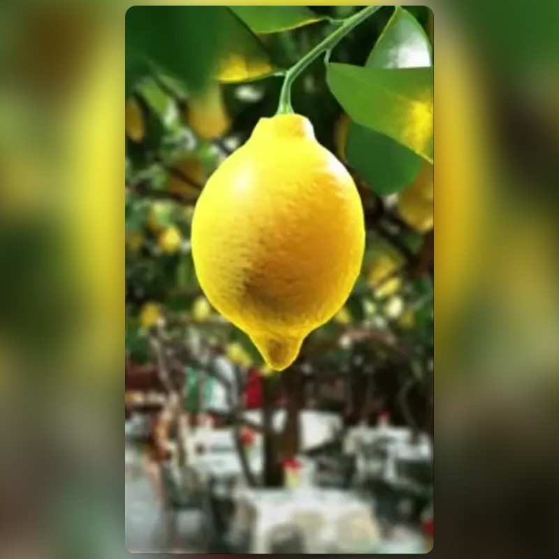 Crazy Lemon Lens by Pavlo Tkachenko - Snapchat Lenses and Filters