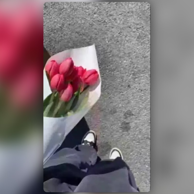 Tulip flowers snap Filter by sonia sheoran | Snapchat Lenses