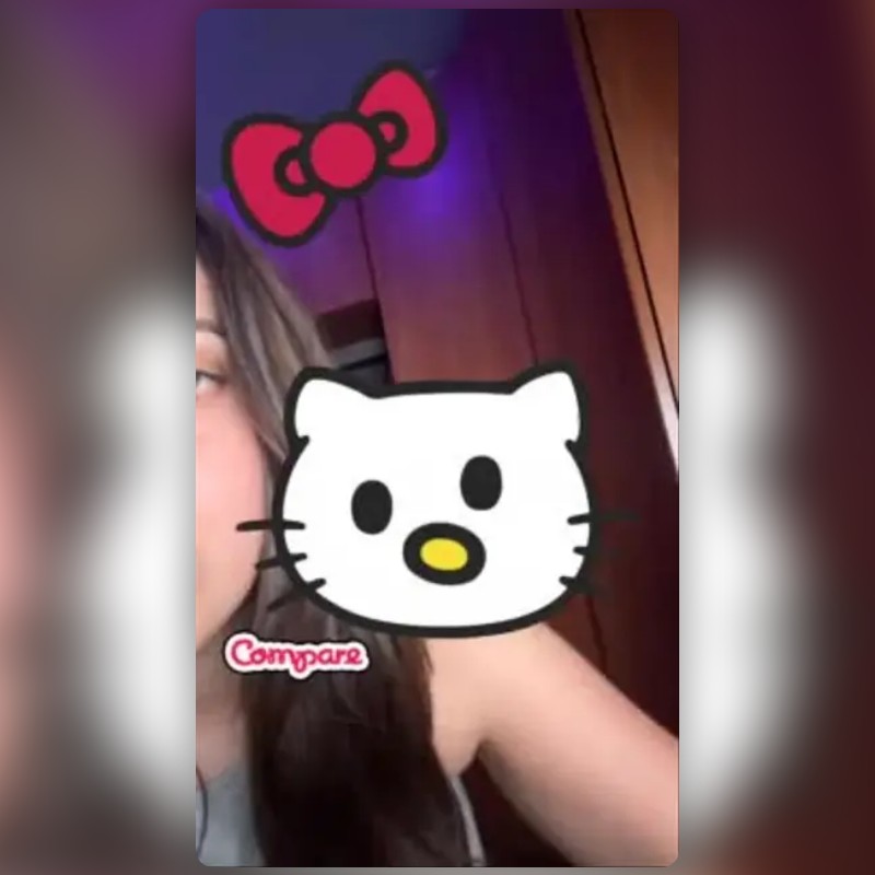 Kitty Puzzle Lens by Paula Casado - Snapchat Lenses and Filters