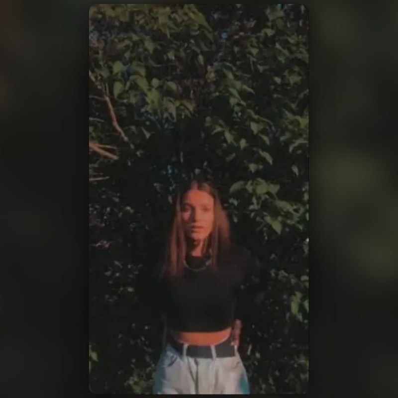 PALM TREE Lens by - Snapchat Lenses and Filters