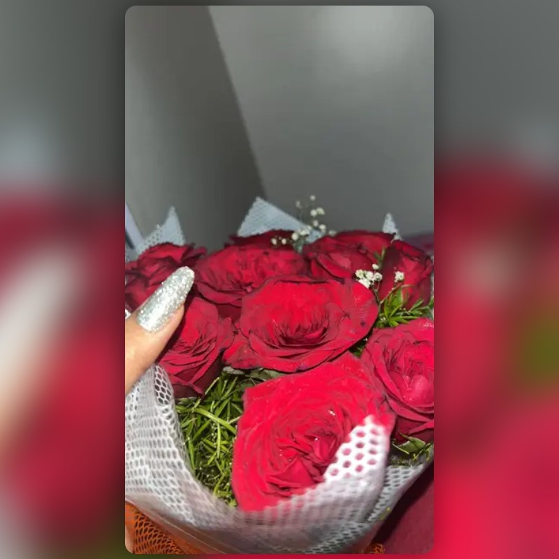 roses Lens by Nameera khan - Snapchat Lenses and Filters