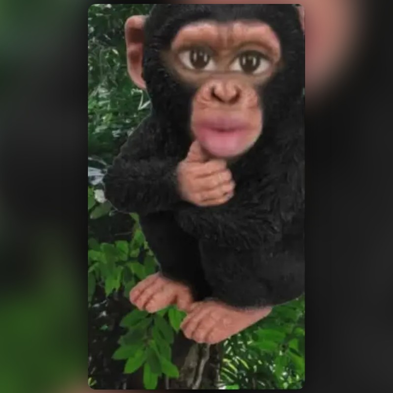 Baby Monkey Face Filter by Danielle Grace | Snapchat Lenses