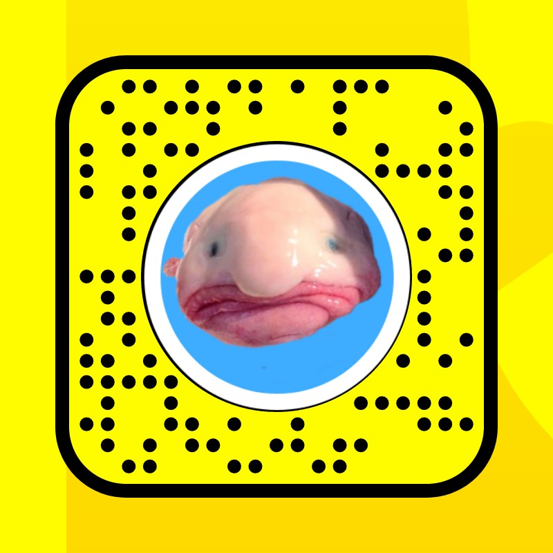 Blobfish Lens by 🥱 - Snapchat Lenses and Filters