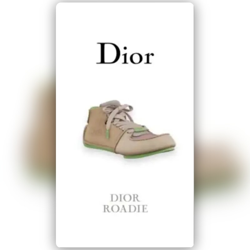 Dior Roadie Filter by Dior | Snapchat Lenses