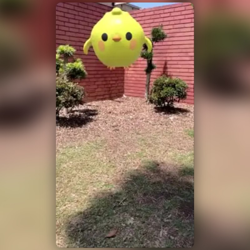 bird Filter by Snapchat | Snapchat Lenses