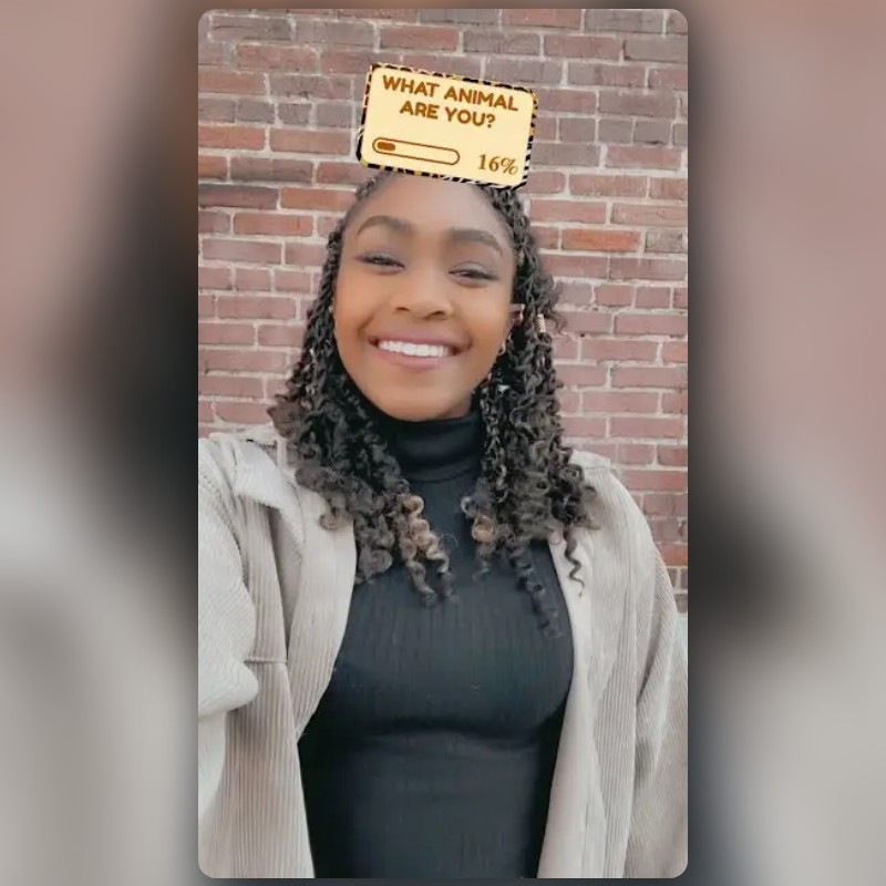 What Animal Are You? Lens by Snapchat - Snapchat Lenses and Filters