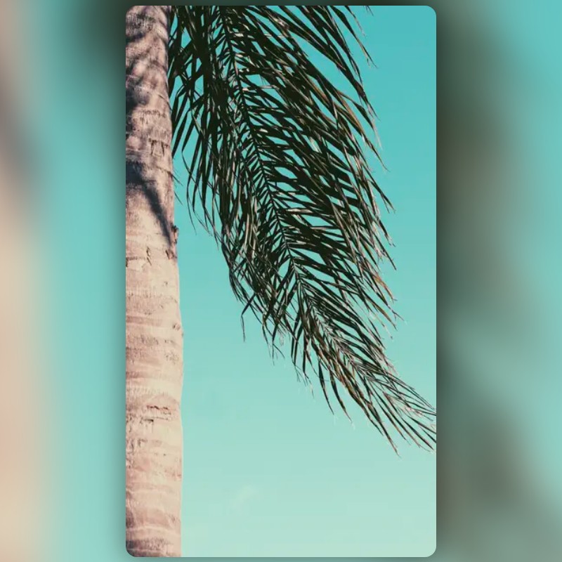 P5 Filter by KING SEN | ♪.. | Snapchat Lenses