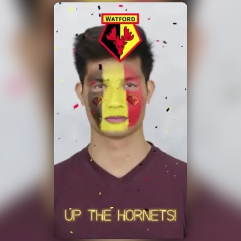 UP THE HORNETSSS Filter by daniel spizzirri | Snapchat Lenses