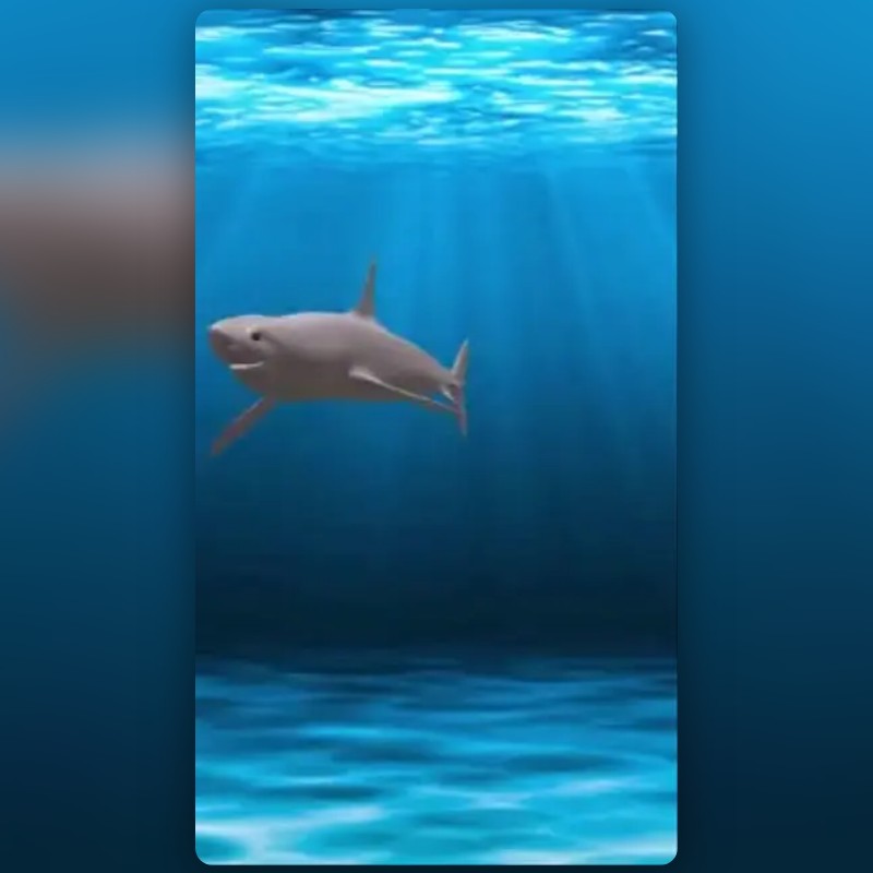 Shark Me Lens by Ethan - Snapchat Lenses and Filters